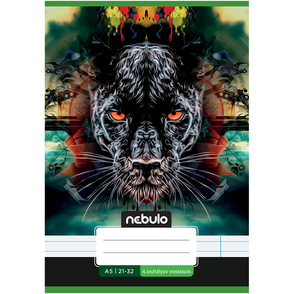 Nebulo Caiet tip 21-32 A/5, linii, pentru clasa a 4-a, cu model de ...